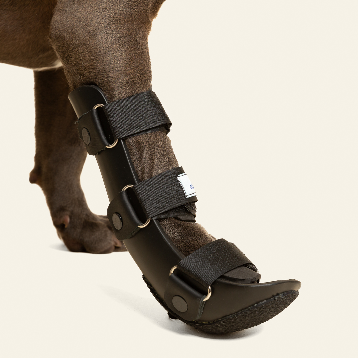 Férula Rígida Delantera – Ortovets