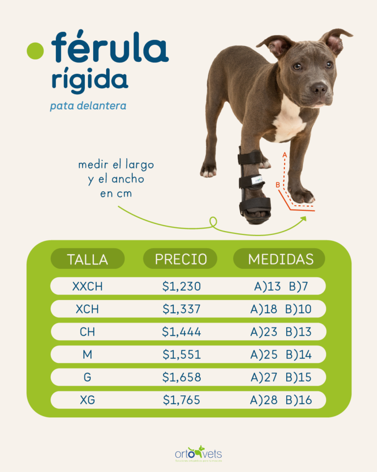 Férula rígida delantera para perro | Ortovets México